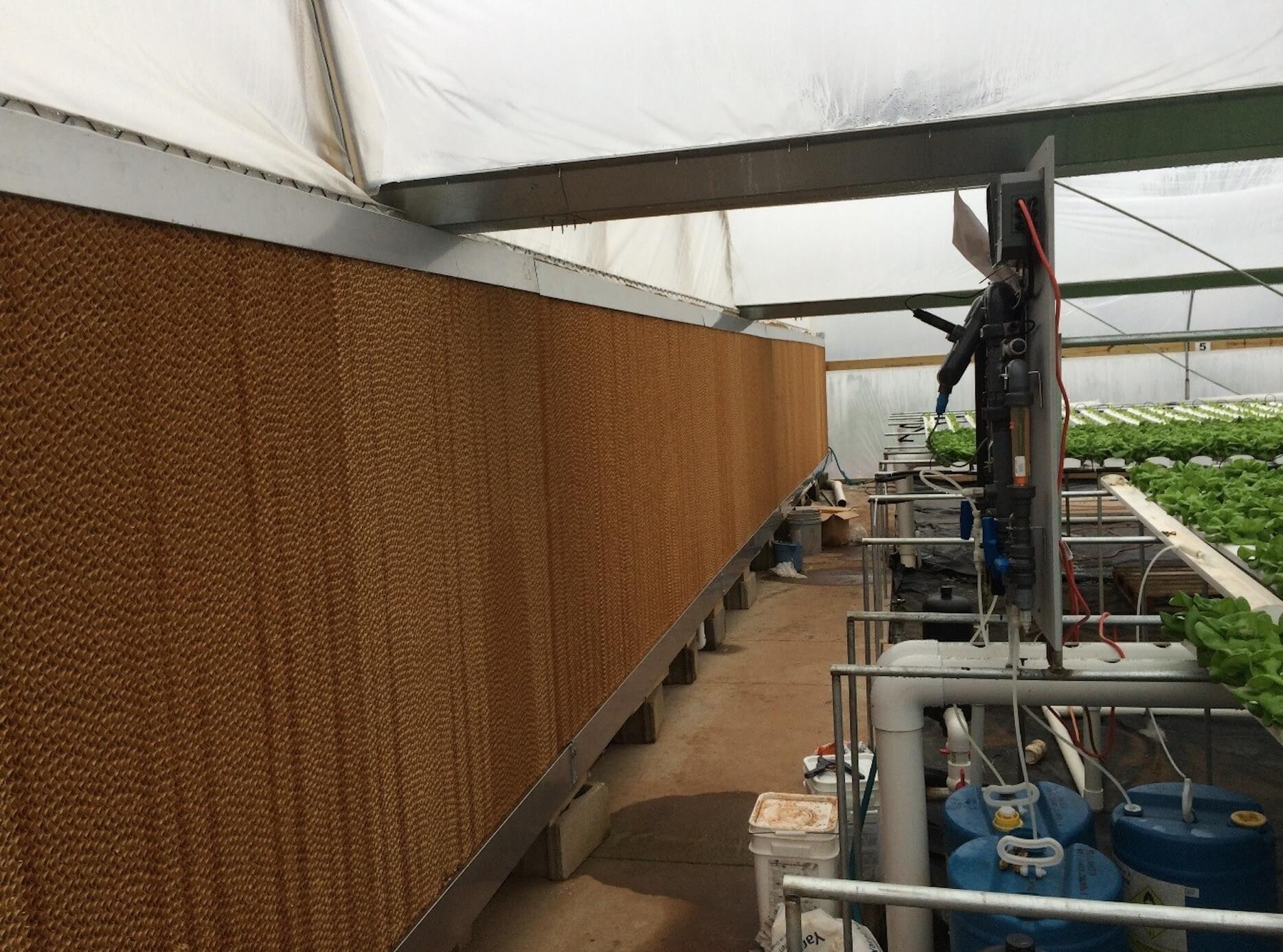 5 Ways to Improve Cooling Efficiency with Evaporative Cooling Pads ...