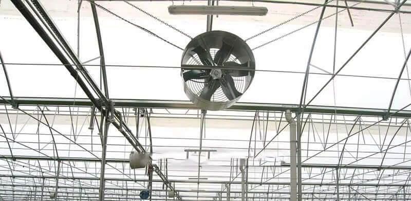 How to Install and Maintain Hanging Axial Flow Fans? - China Exhaust ...