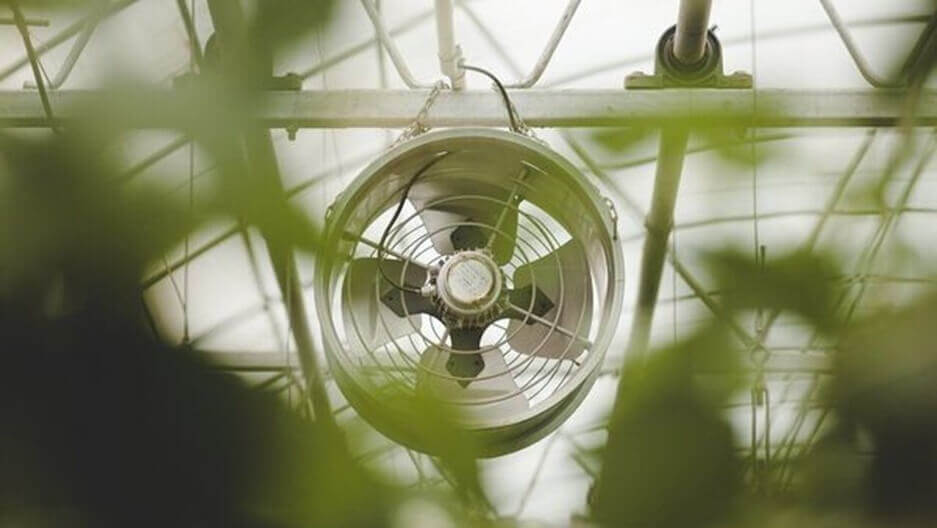 How to Install and Maintain Hanging Axial Flow Fans? - China Exhaust ...