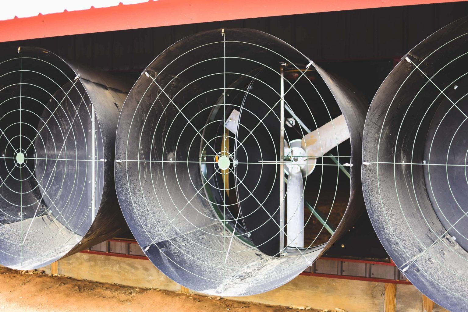 7 Roles of poultry exhaust fans in improving farm efficiency and flock ...