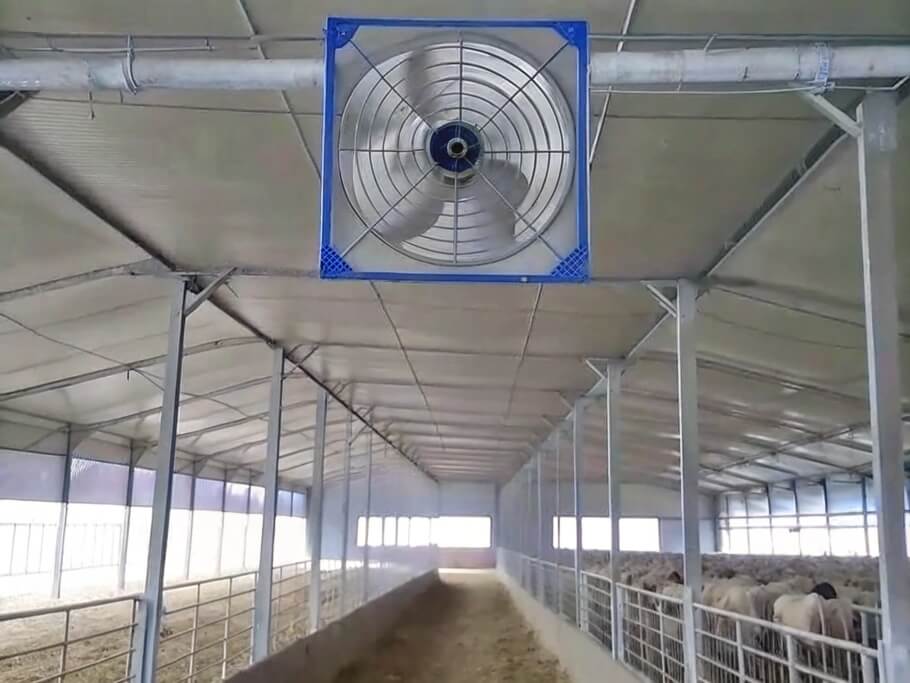 How Barn Ventilation Fans Improve Air Quality and Livestock ...