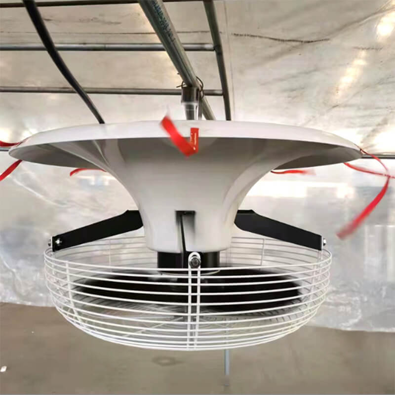 How to install a vertical circulation fan in poultry houses? - China ...