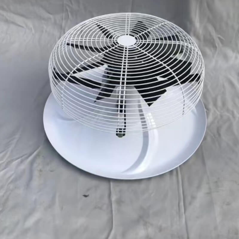 How to install a vertical circulation fan in poultry houses? - Shandong ...