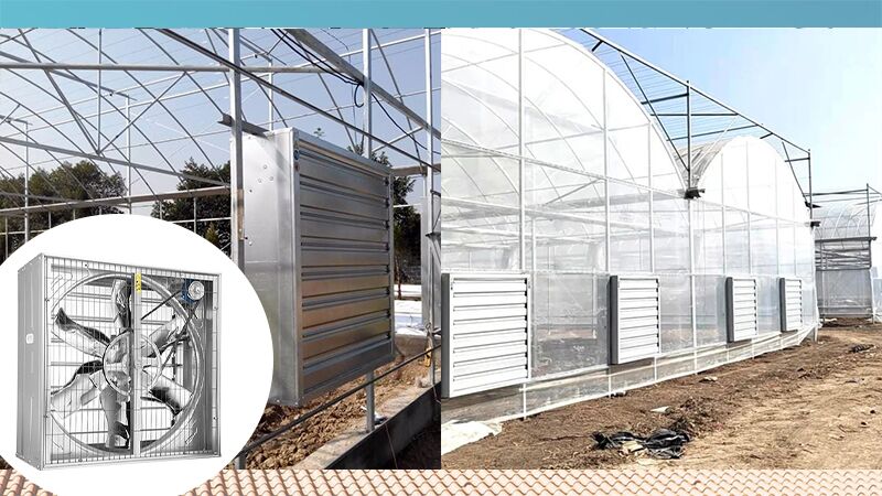 Negative Pressure Fans vs. Positive Pressure Fans: Which One is Right ...