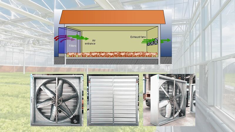 Negative Pressure Fans vs Roof Fans: Which One is Better? - China ...